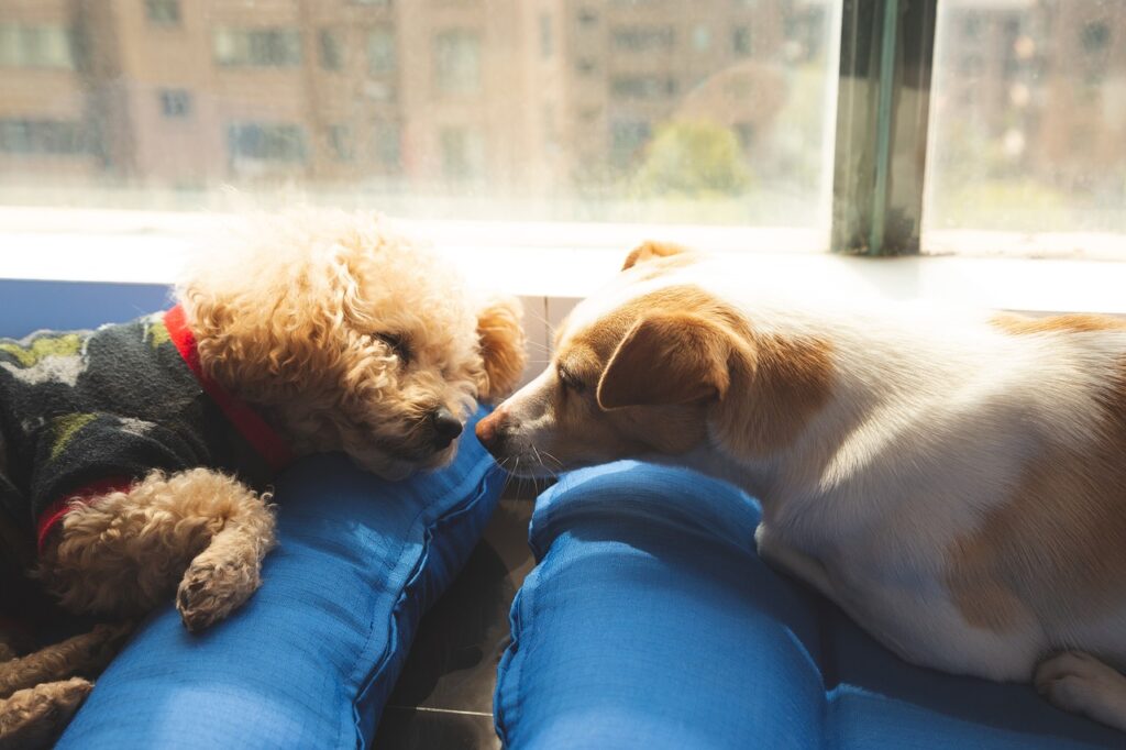 40 Cute and Flirty Replies to “You Make Me Smile” Message | Verbal Acrobat